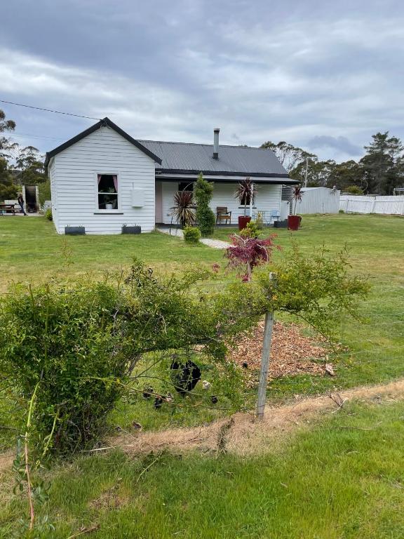 Tassie Shack, South Mount Cameron (updated prices 2026)