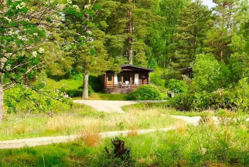 Solstice Cabin, Torlundy (updated prices 2026)