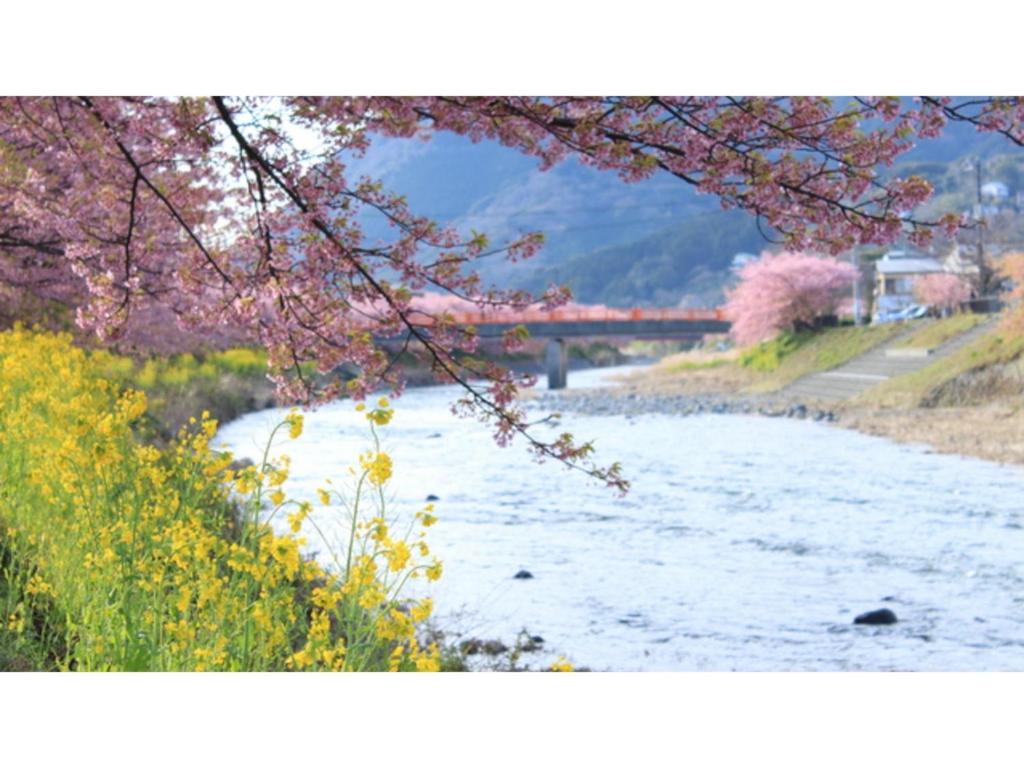 Le Nessa Akazawa - Vacation STAY 03714v, Futo (updated prices 2025)