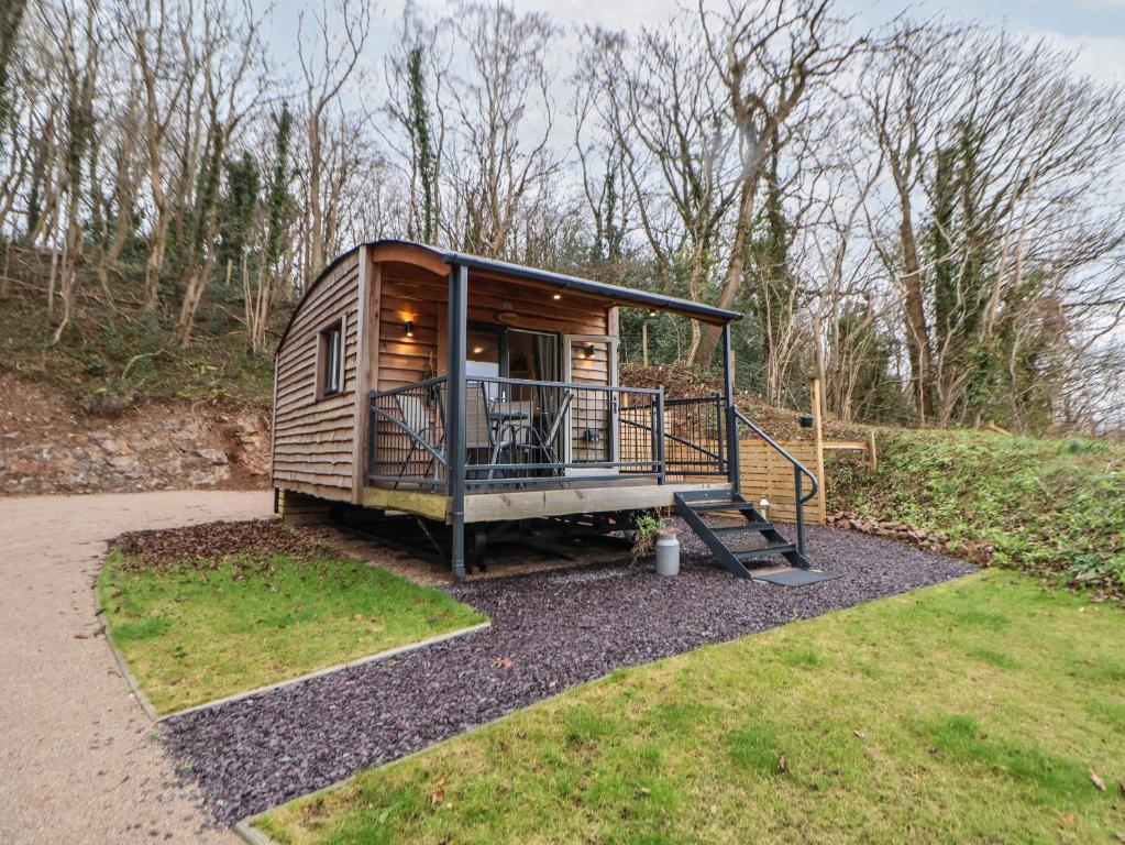 Hazel, Mold (updated prices 2026)