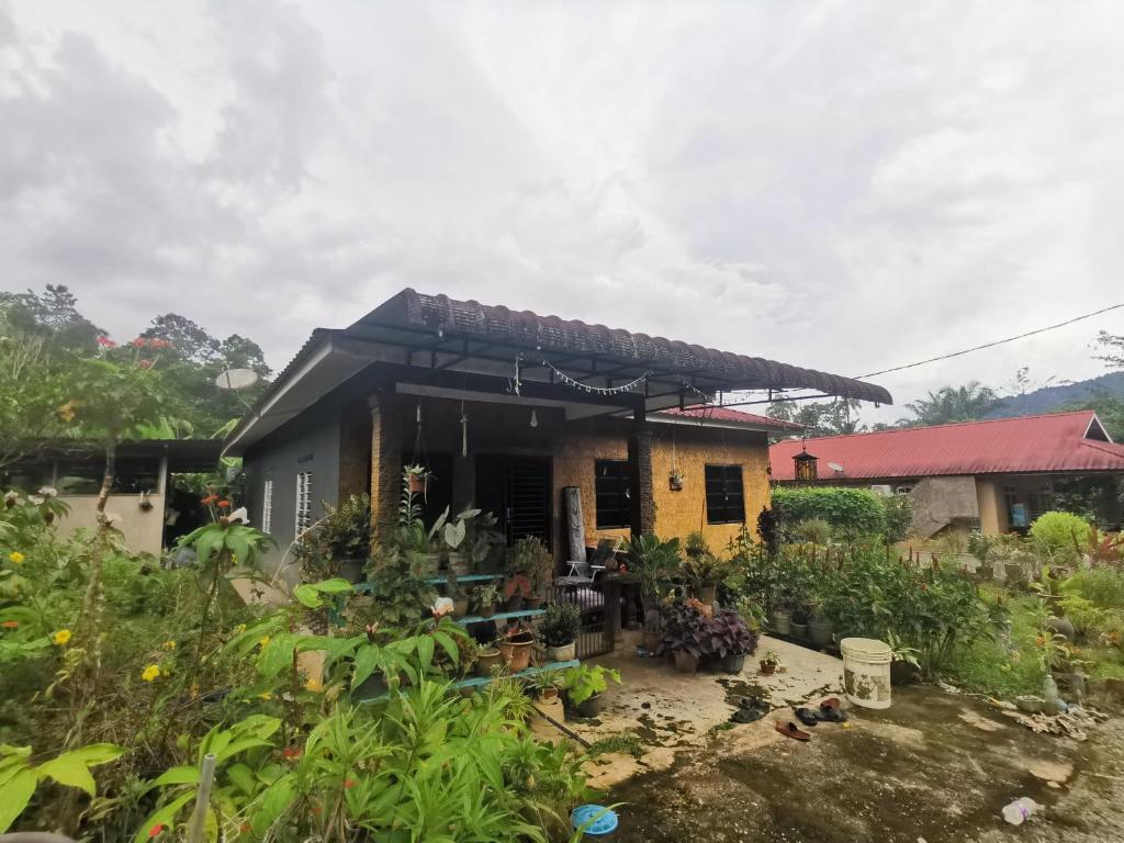 Lata Jawa, Benta (updated prices 2026)