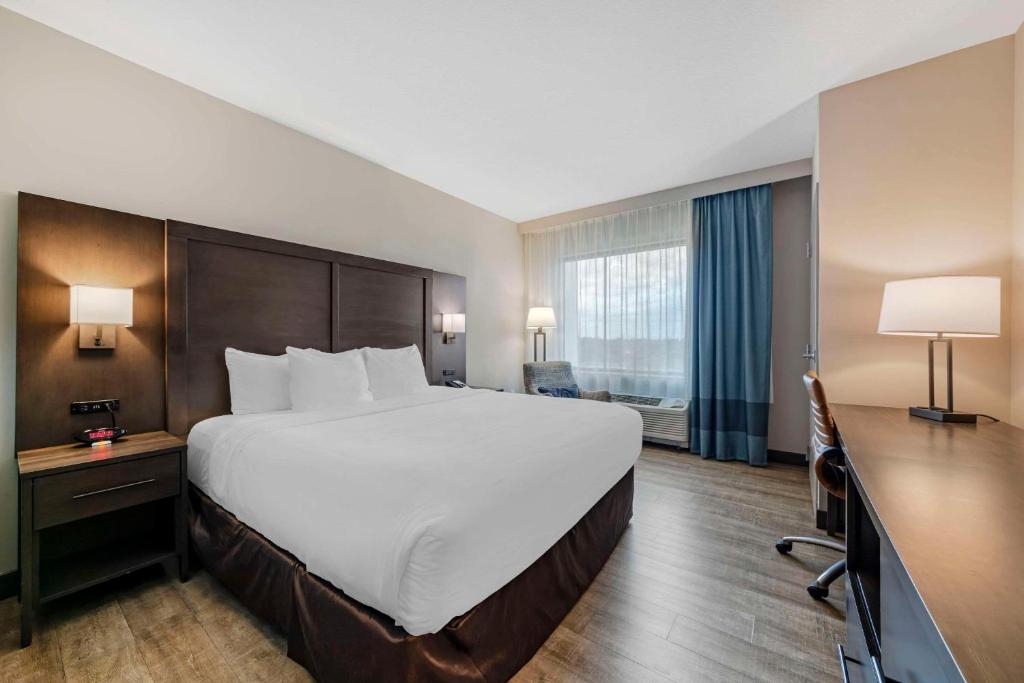 Comfort Inn & Suites Miami International Airport, Miami (updated prices ...