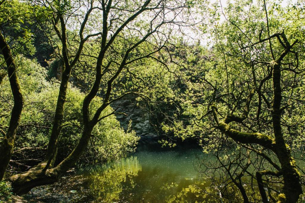 Kudhva, Treknow (updated prices 2025)