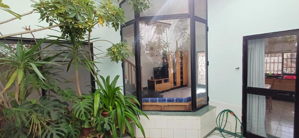 The roof garden, Marsaskala (updated prices 2025)