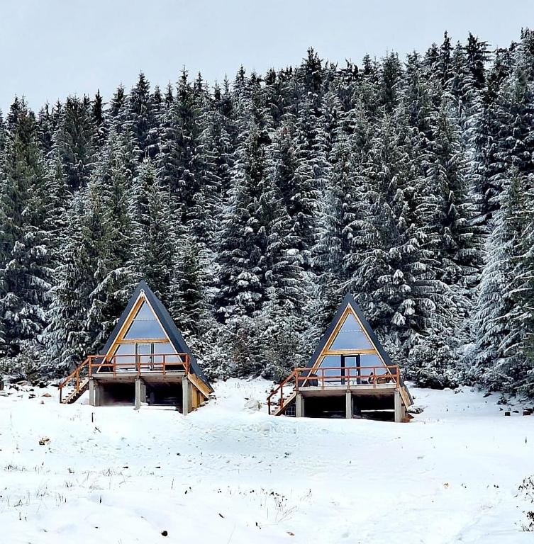 AA Frame Retreat Fundata, Fundata (updated prices 2025)