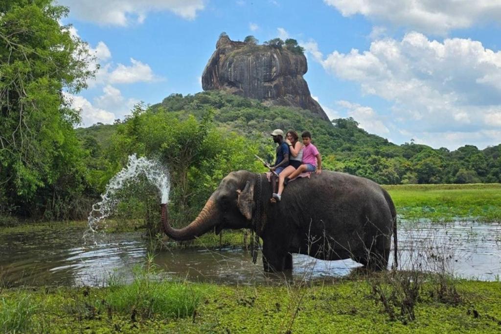 The Wild Elephant Resort, Sigiriya (updated prices 2026)