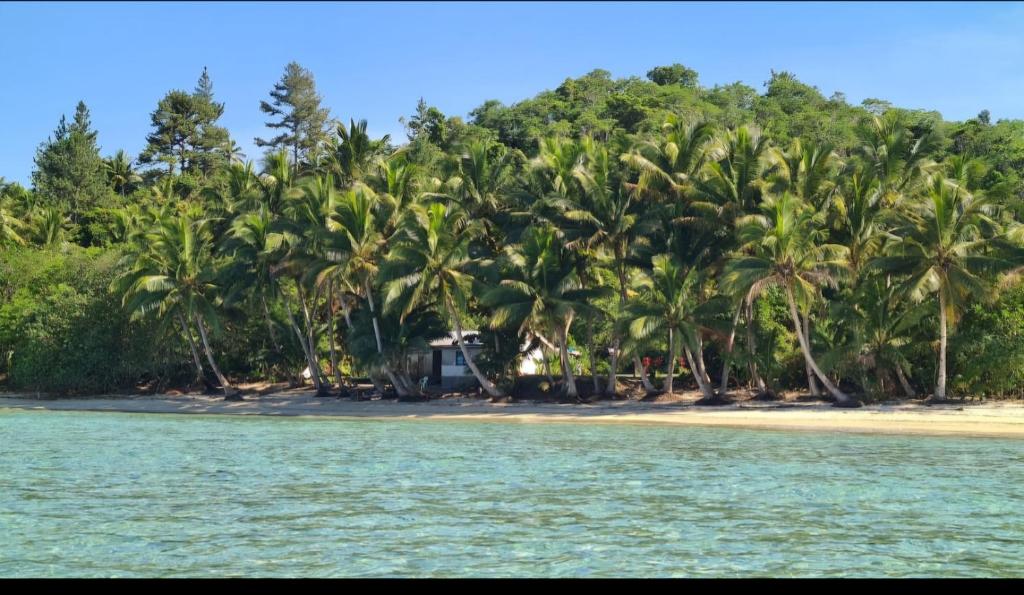 Coral Coast Beachfront Homestay Room 2, Komave (updated prices 2025)