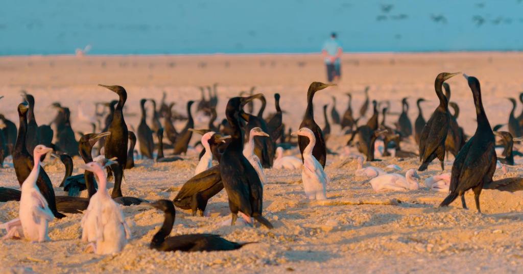 Hawar Resort By Mantis, Hawar Island (updated prices 2025)