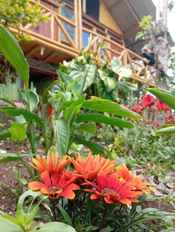 Eco Hotel Manu Viajeros, San Agustín (updated prices 2025)