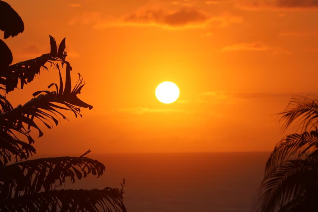 Studio BLeu, Piton Saint-Leu (updated prices 2025)