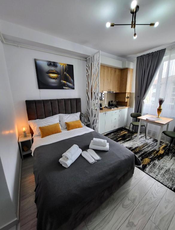 Studio Helen, Onești (updated prices 2025)