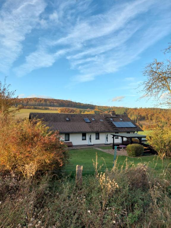 Ferienhaus Willingen Mit Hund