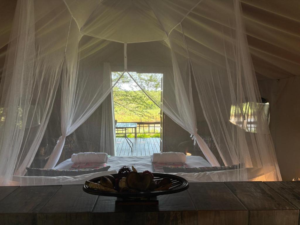 Sabie River Bush Lodge, Hazyview (updated prices 2025)
