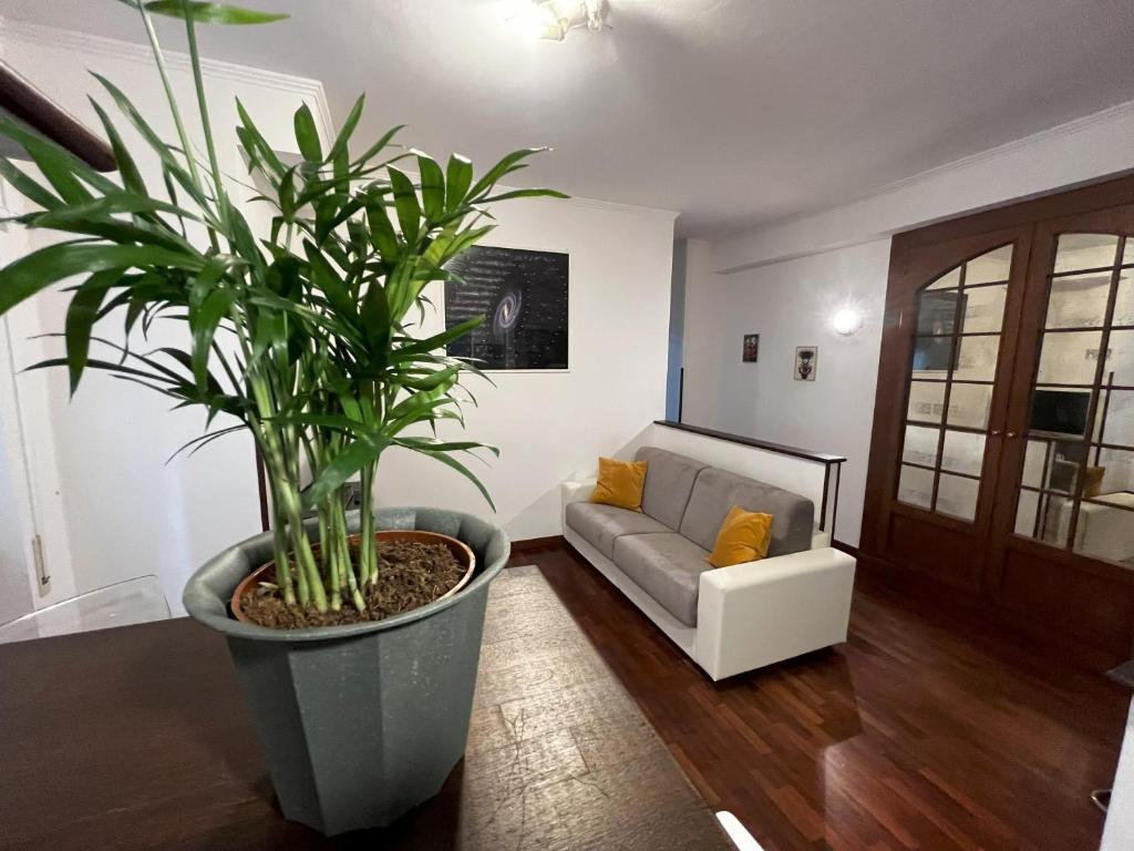 Moonlight Vatican, Rome (updated prices 2026)