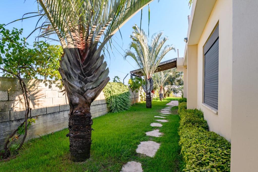 עדי הכרמל, Dāliyat el Karmil (updated prices 2025)