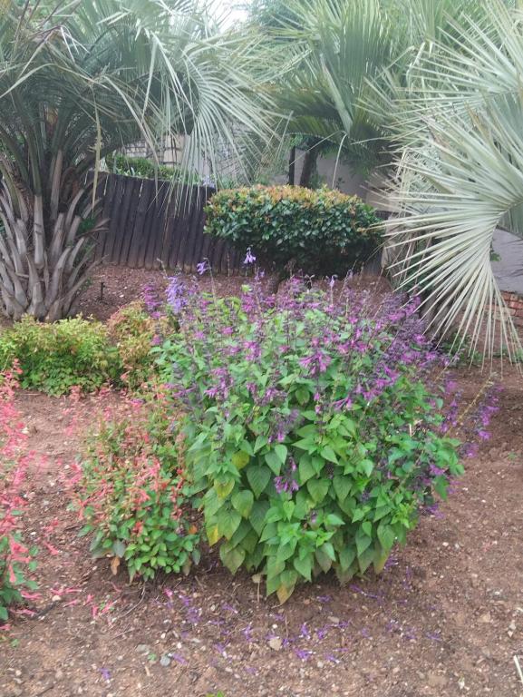 The Adress Events Venue, Midrand (updated prices 2026)