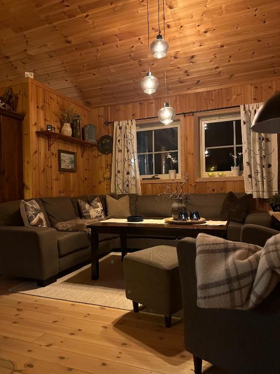 Cabin at Furutangen - 3 bedroom family cabin, Åmot (precios ...