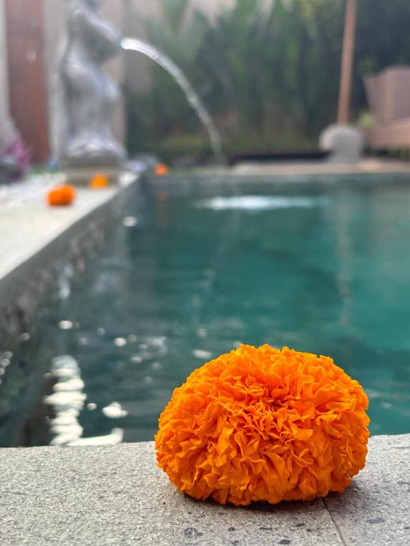 Kimala Ubud, Ubud (updated prices 2026)