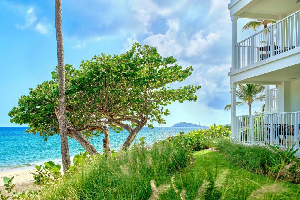 Buoy Haus Beach Resort St Thomas Autograph Collection, St Thomas ...