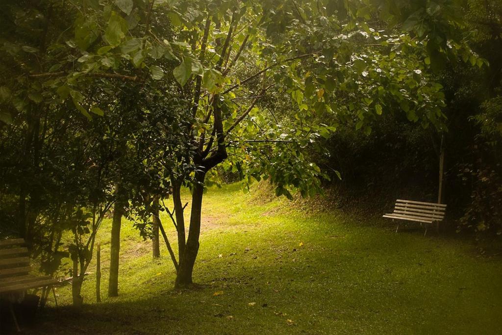 Alugo minha casa na floresta!, Alfredo Wagner (updated prices 2025)