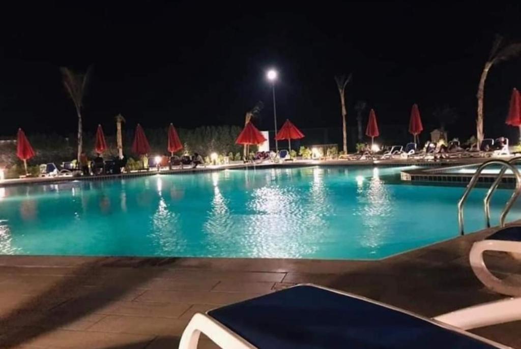 Porto, Port Said (updated prices 2026)