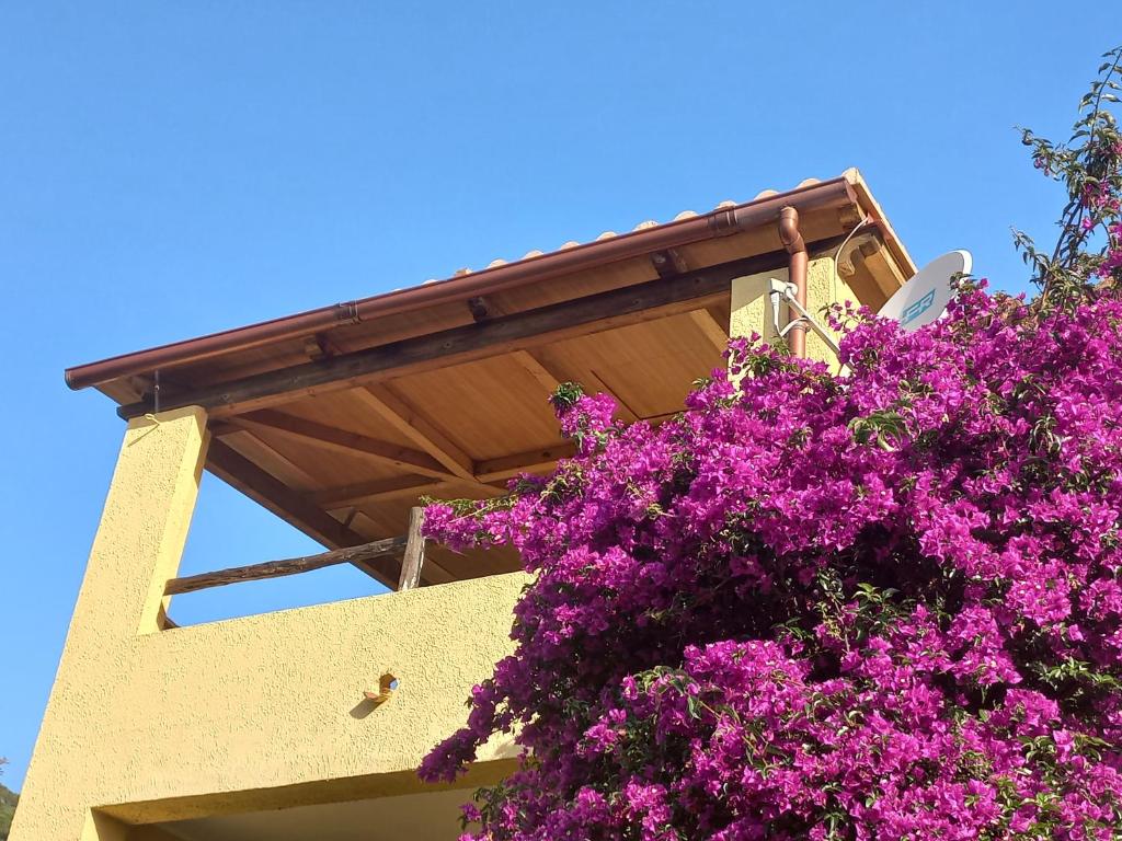 Alessandro&Dina's House, Costa Rei (updated prices 2025)