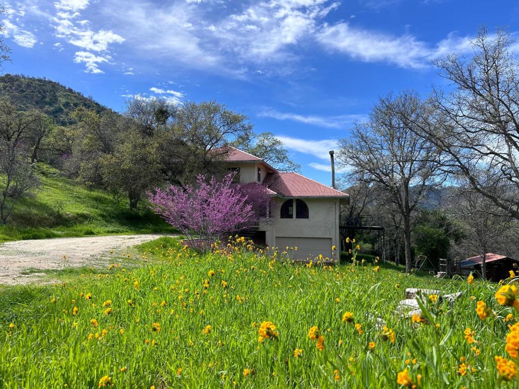 Hillside Hideaway, Three Rivers (updated prices 2025)