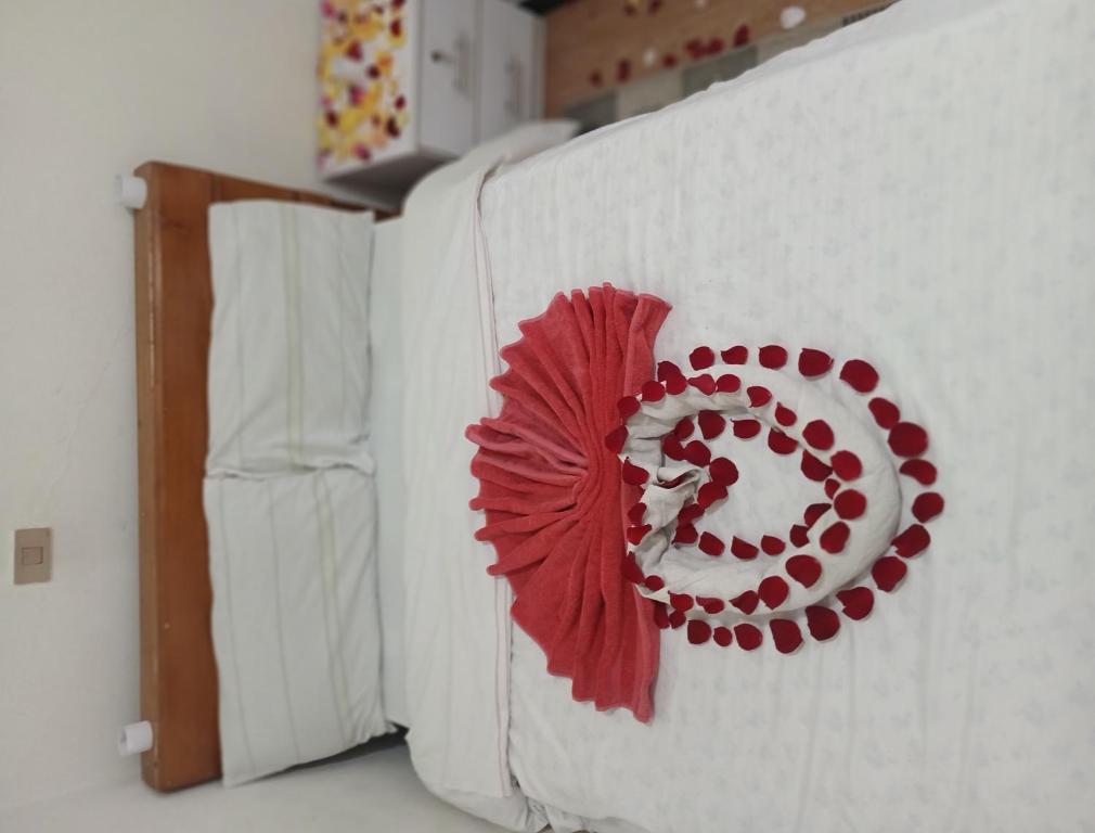 Addis guest house, Addis Ababa (updated prices 2025)