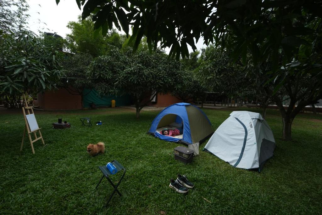 Suggee Resort, Bangalore (updated prices 2026)