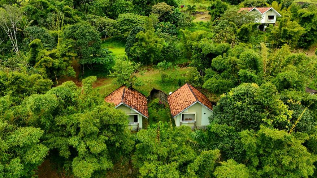 Elenor Cottages, Santhanpara (updated prices 2026)