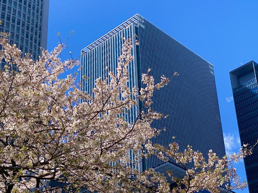 Nagoya JR Gate Tower Hotel, Nagoya (updated prices 2026)