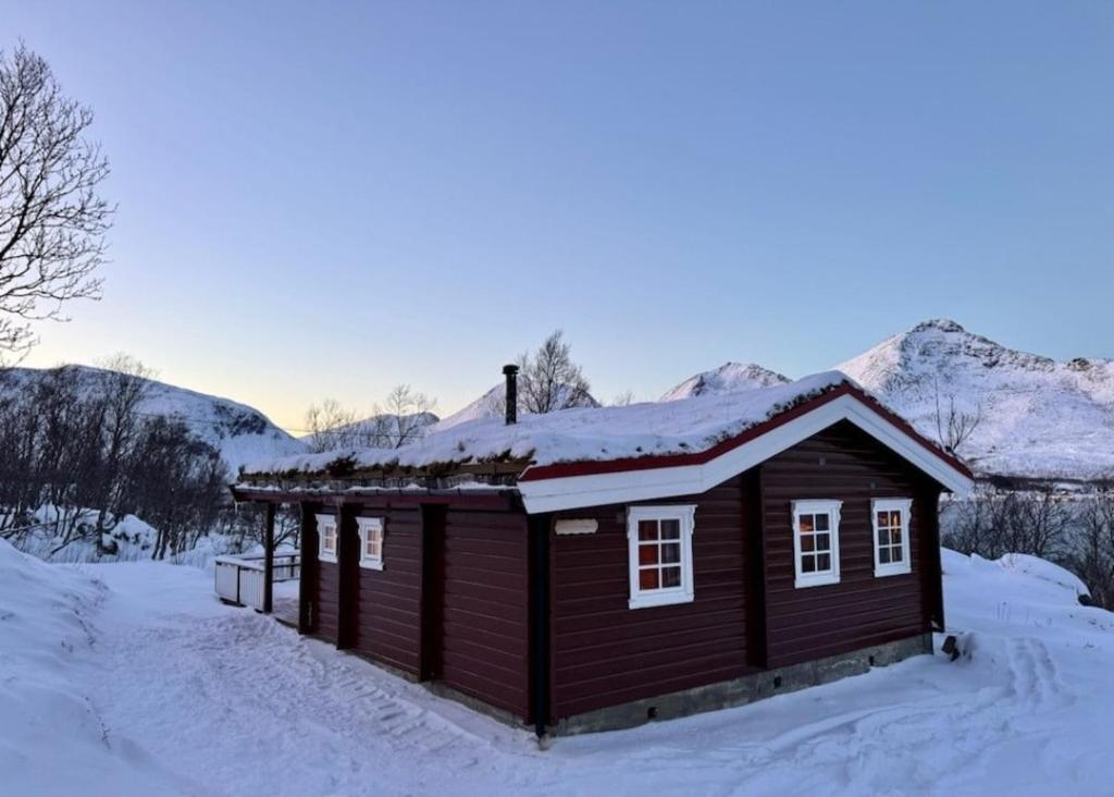 Aurora cabin Tromvik, Tromsø (updated prices 2026)