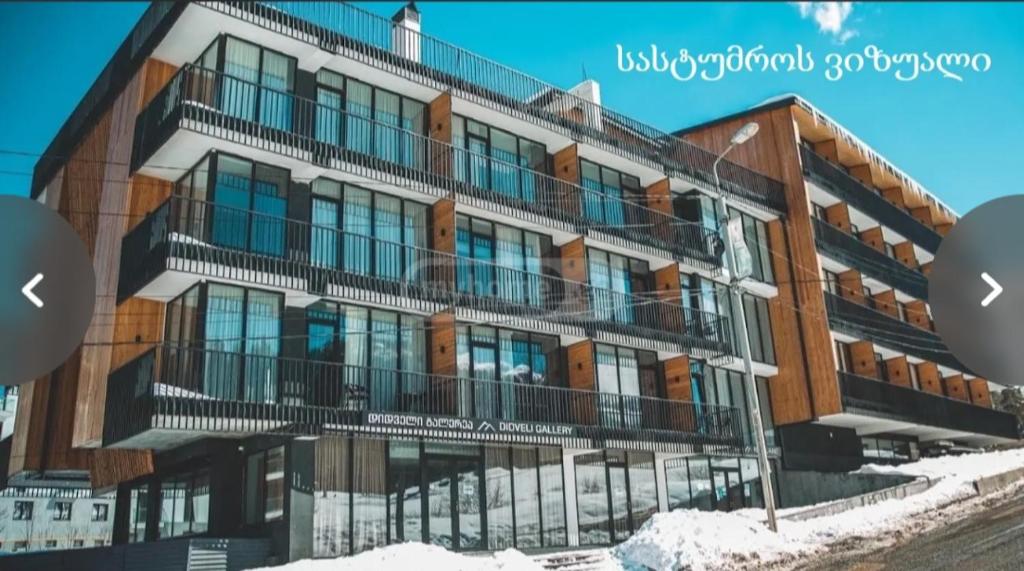 Didveli gallery, Bakuriani (updated prices 2026)