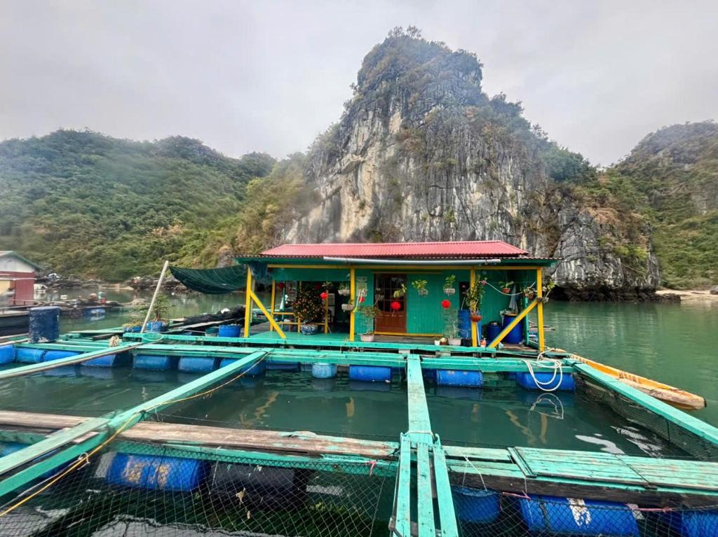 Floating house in Cai Beo Fishing village, Hai Phong (updated prices 2025)
