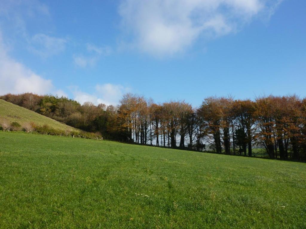 Higher Melcombe Manor, Ansty (updated prices 2025)