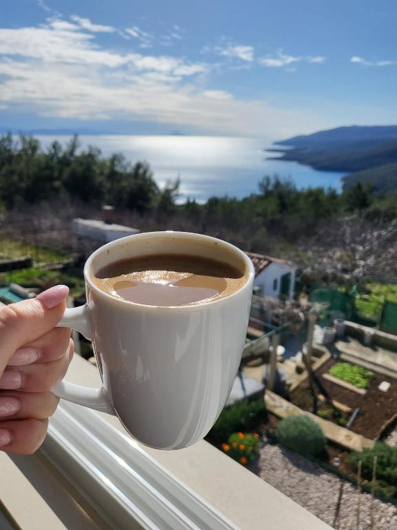 La Masion de Rudmann, Rabac (updated prices 2025)