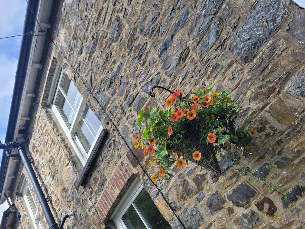 Brynteg Cottage, Llanllwchaiarn (updated prices 2025)