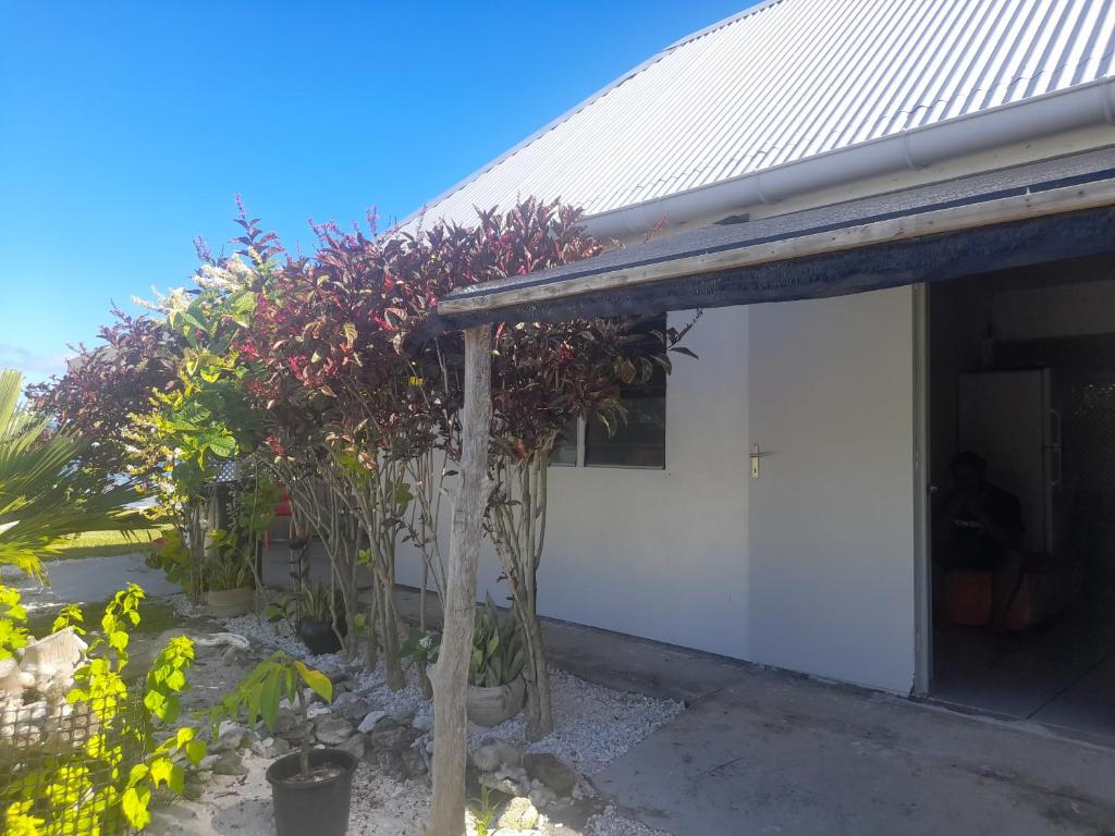 Tahiti Natura Lodge, Faaa (updated prices 2025)