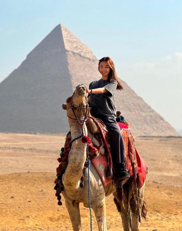 Purta, Cairo (updated prices 2025)