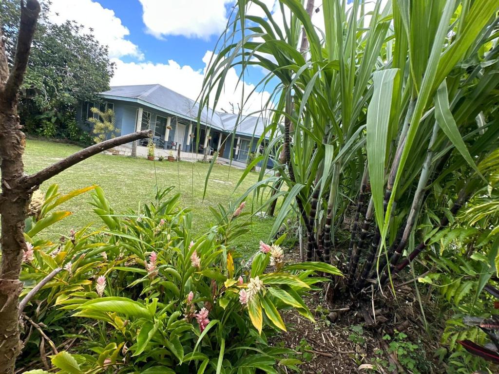 Anas place Siusega, Vaitele (preços atualizados para 2025)