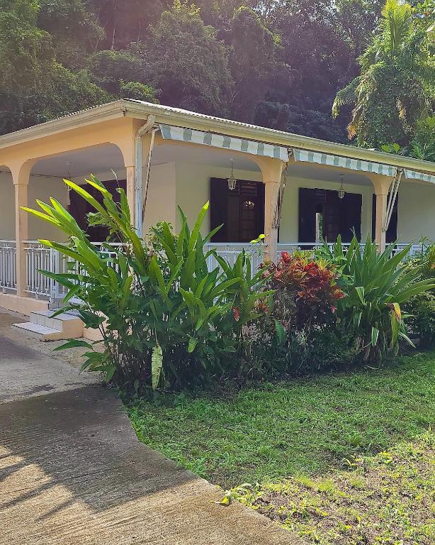 Maison Grand Bois, Le Gosier (updated prices 2026)