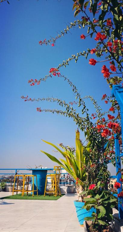 The Coral House Homestay by the Taj, Agra (updated prices 2025)