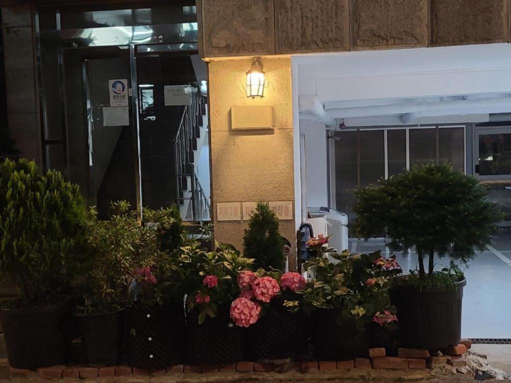 Hongdae, Sinchon Yeonhui House, Séoul (tarifs actualisés, 2025)