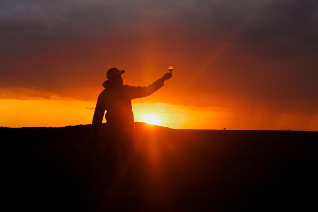 Tembo By Jackson, Musiara Campsite (updated prices 2025)