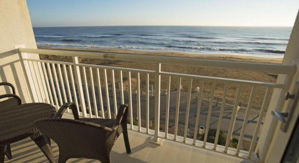 Dolphin Watching at the Ocean Sands, Virginia Beach (updated prices 2025)