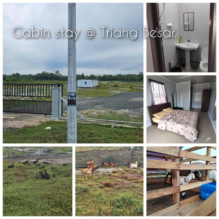 Cabin stay Triang Besar, Kampong Teriang Besar (updated prices 2026)