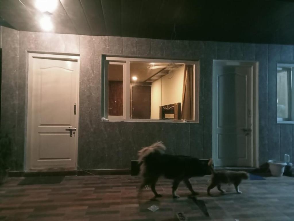 Eira Stay, Nainital (updated prices 2025)