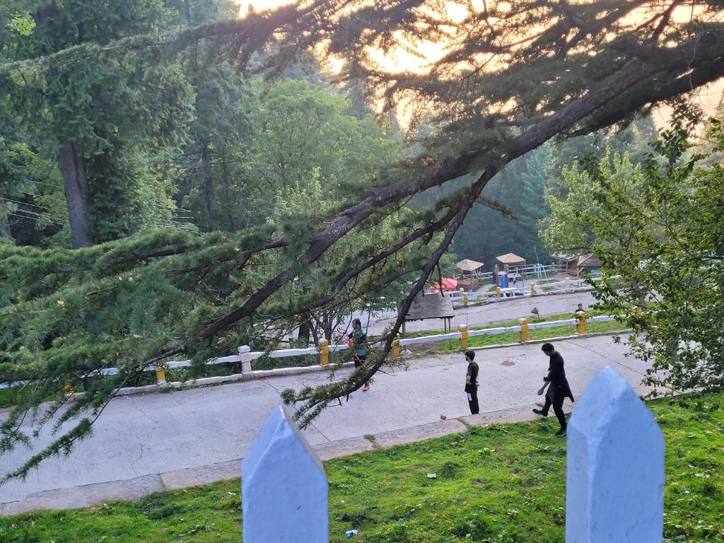 Kuldana Murree, Kuldanna (aktualisierte Preise für 2025)