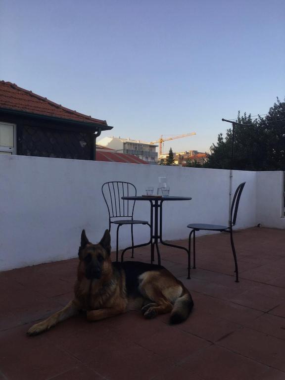 Porto's secret backyard, Porto (updated prices 2026)