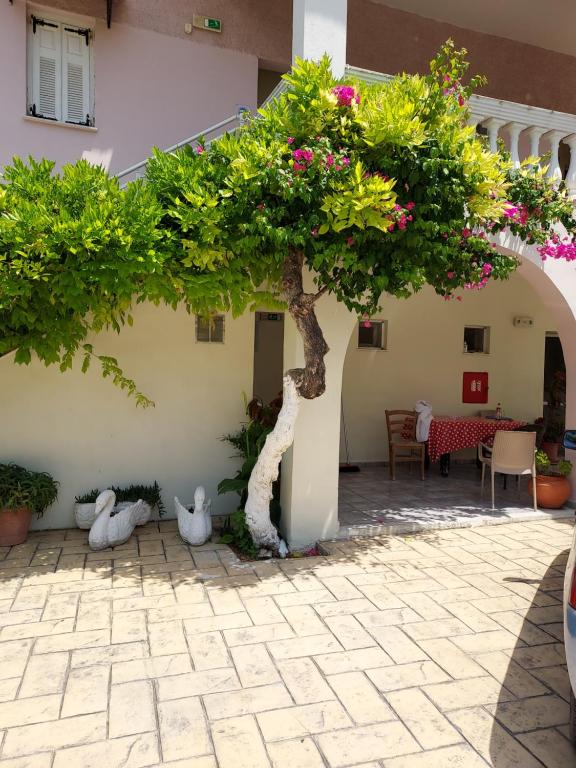 Canditas Studios, Tsilivi (updated prices 2025)